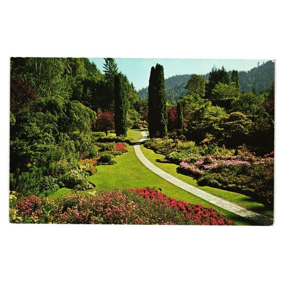 Coast Publishing Co Ltd | Accents | Vintage Postcard Sunken Gardens ...